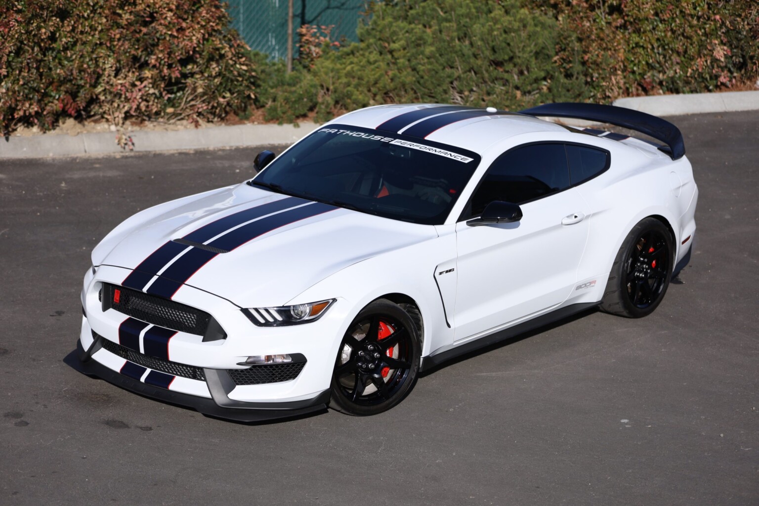 2019 800R Twin Turbo Shelby GT350R #17 - Fathouse Performance